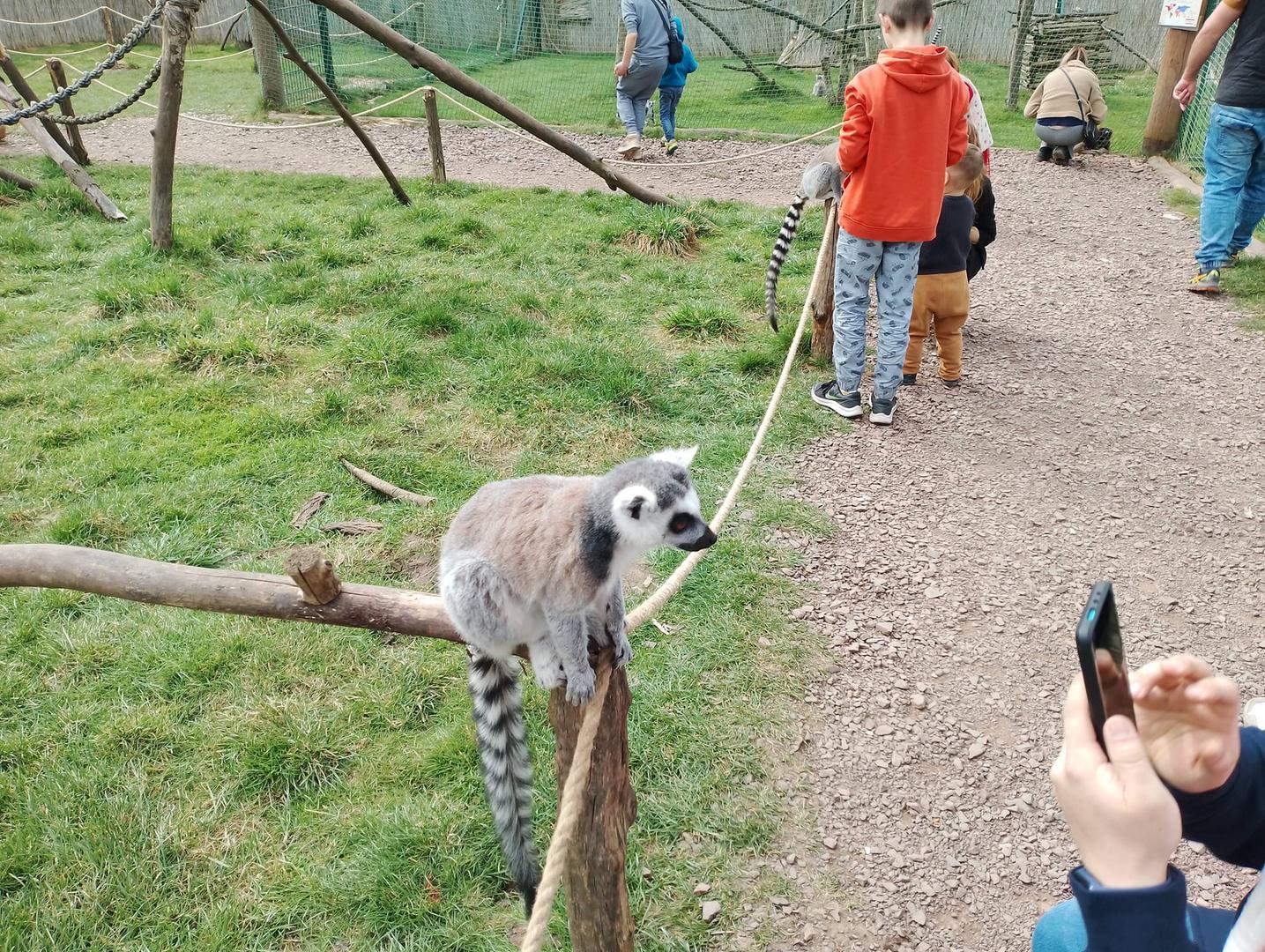 Samochodem na wakacje.pl - ZOO Łączna to wyjątkowe górskie ZOO w Polsce ...